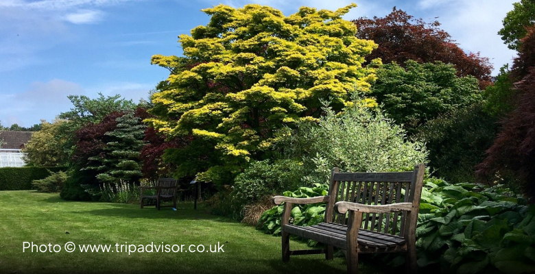 Jewellers Leicester | Wedding & Engagement Rings Leicester | Austen & Blake